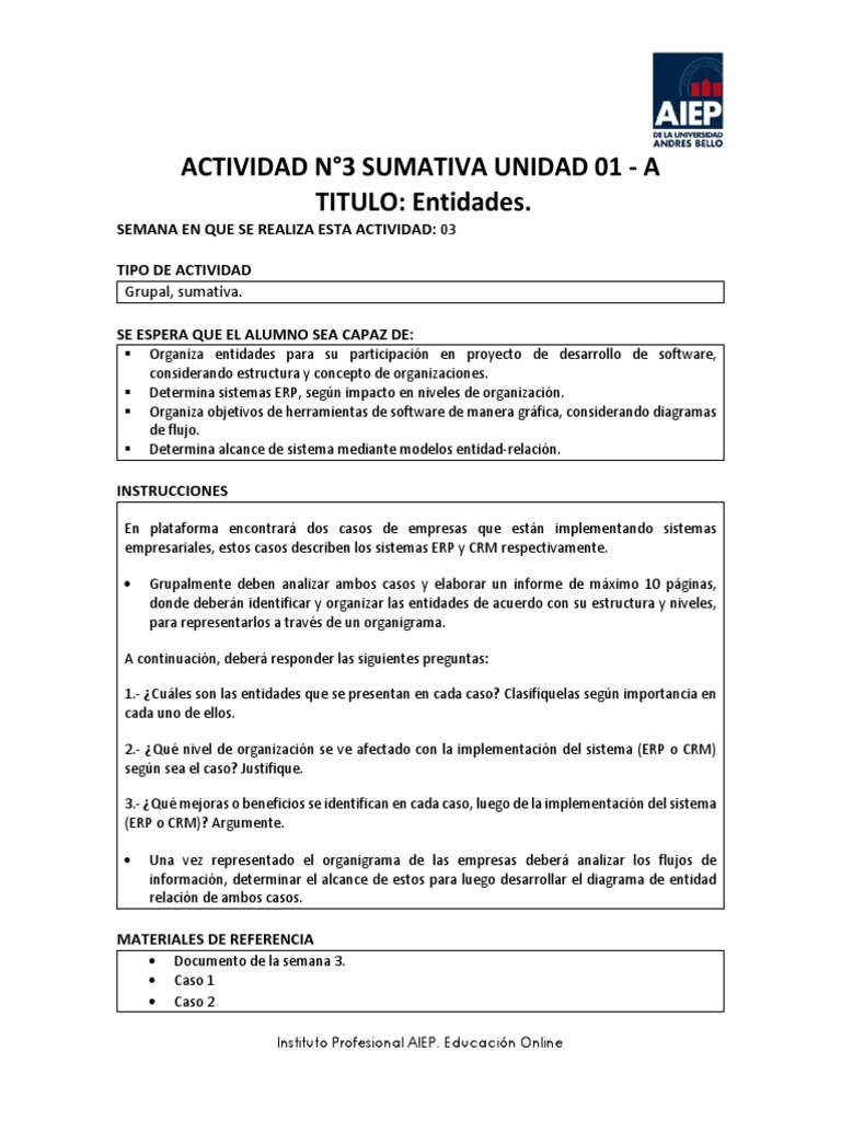 Orientaciones Actividad Sumativa Forma A | PDF | Planificación de recursos empresariales | Software