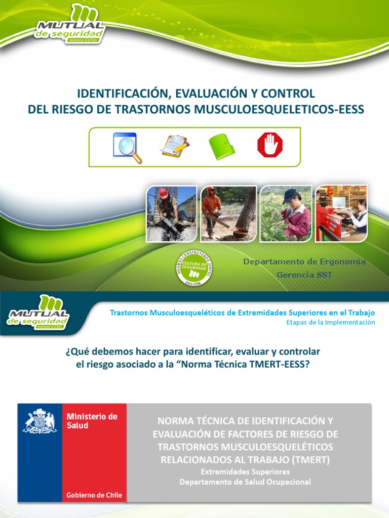 Implementación Norma Tecnica Tmert-Eess Ene2015 | PDF | Mano | Cobre
