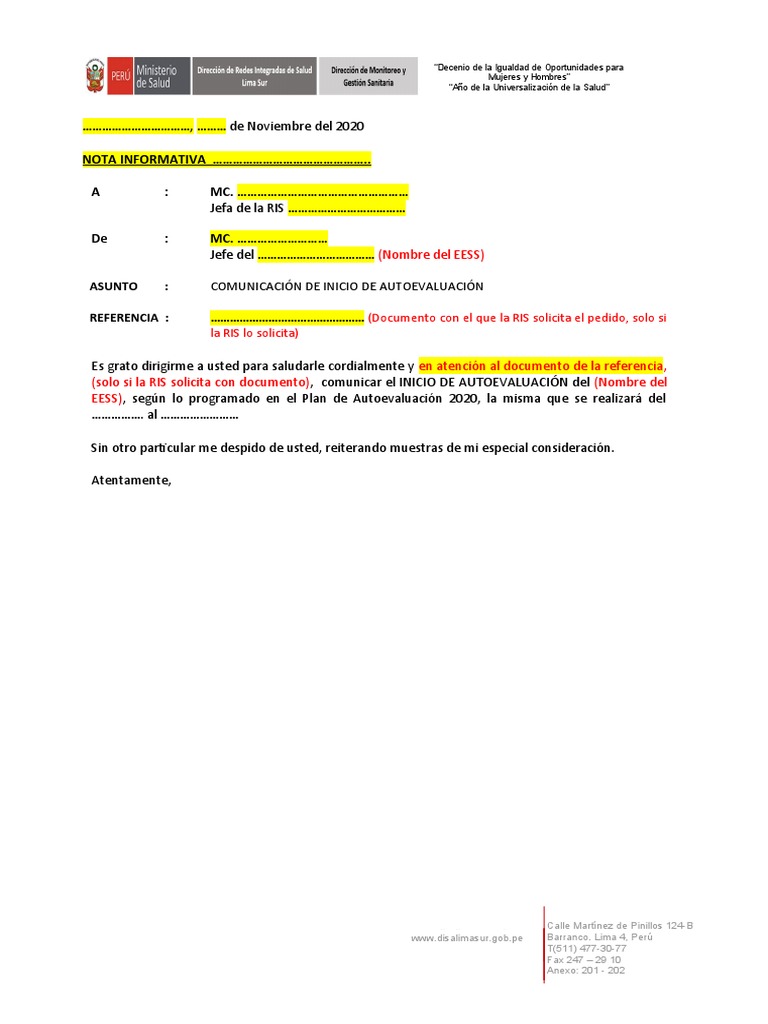 Modelo Inicio Autoevaluación (IPRESS) | PDF