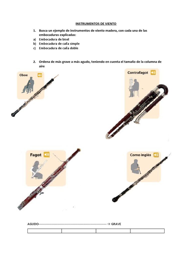 Ejemplos de Instrumentos de Viento | PDF