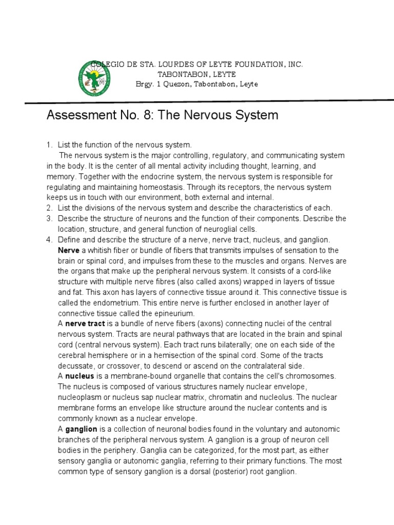 Assessment 8 | PDF | Nervous System | Neuron