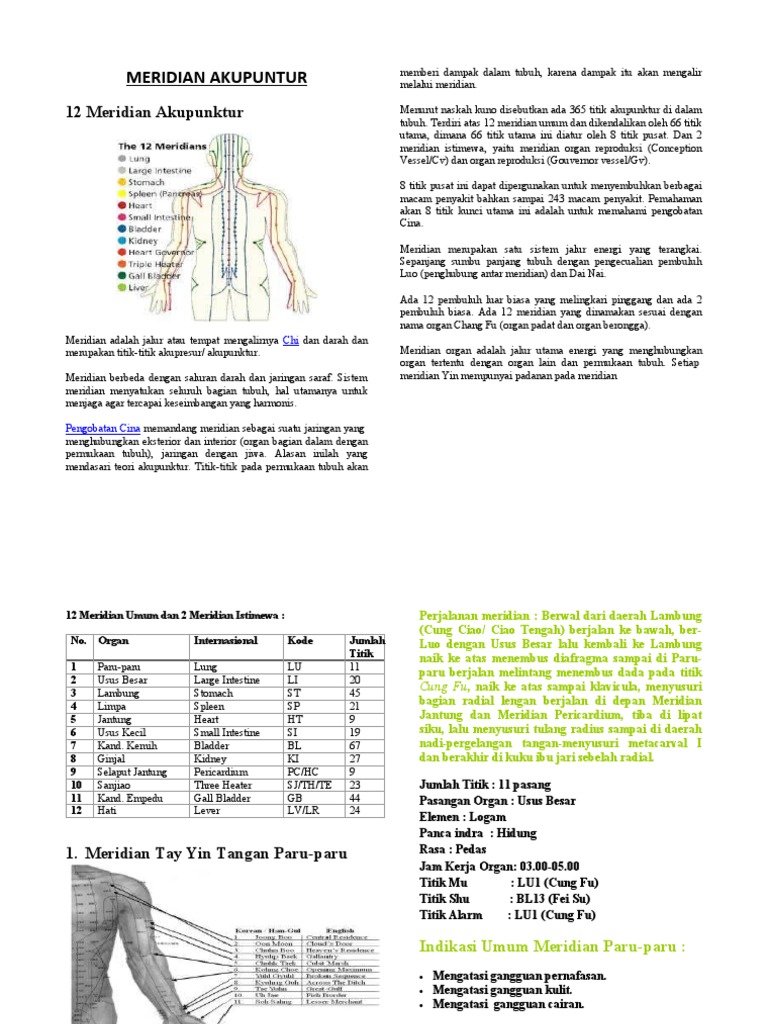 12 Titik Meridian Akupunktur dan Fungsinya | PDF