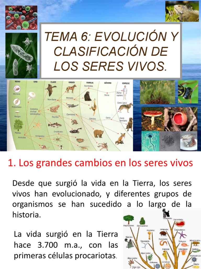 1.1. Evolución y Clasificación de Los Seres Vivos 22-23 | PDF ...