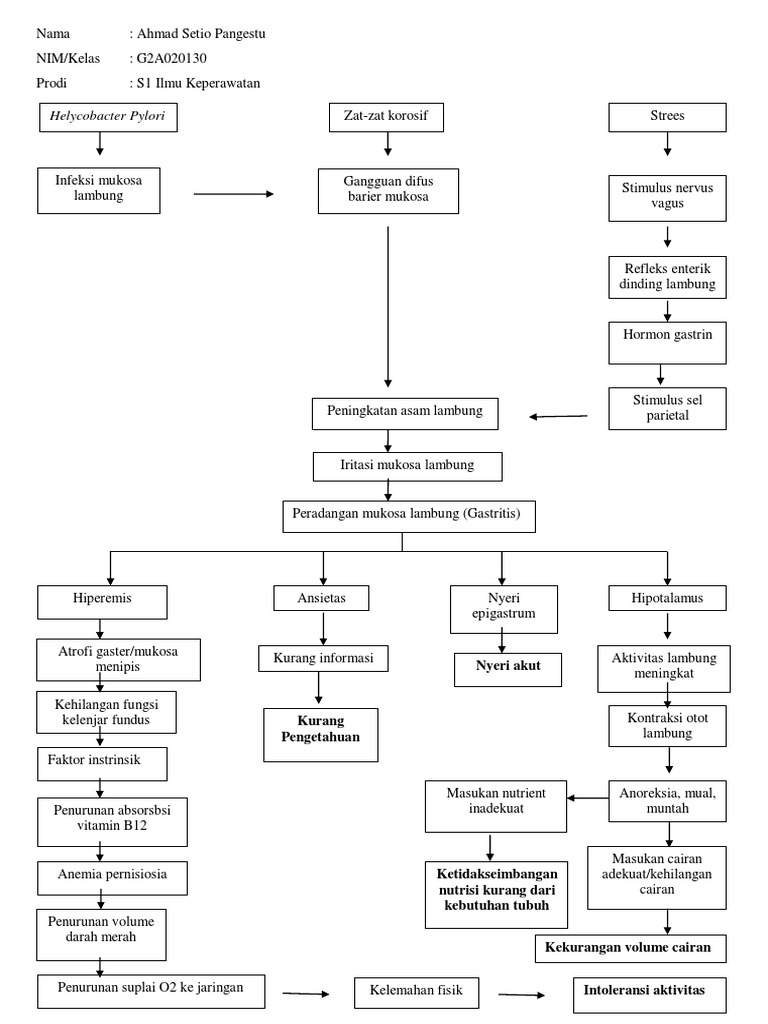 Pathway Gastritis KMB | PDF