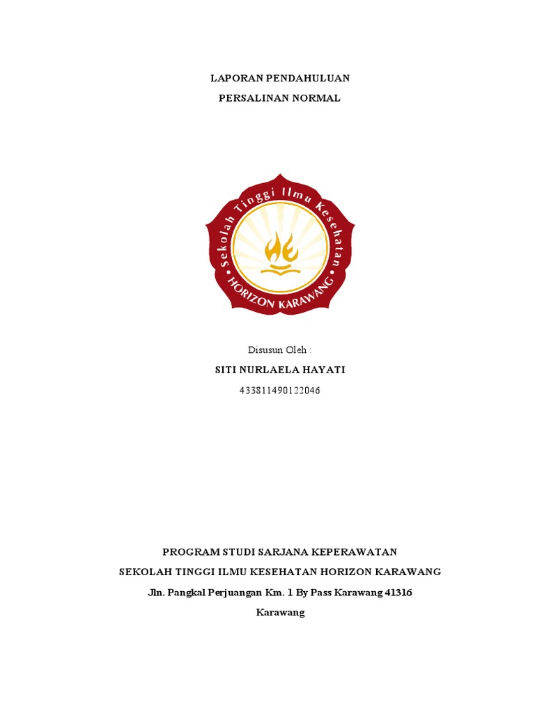 LP Persalinan Normal | PDF