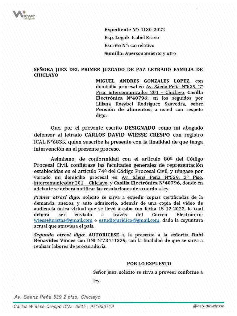 Apersonamiento en Caso de Alimentos | PDF