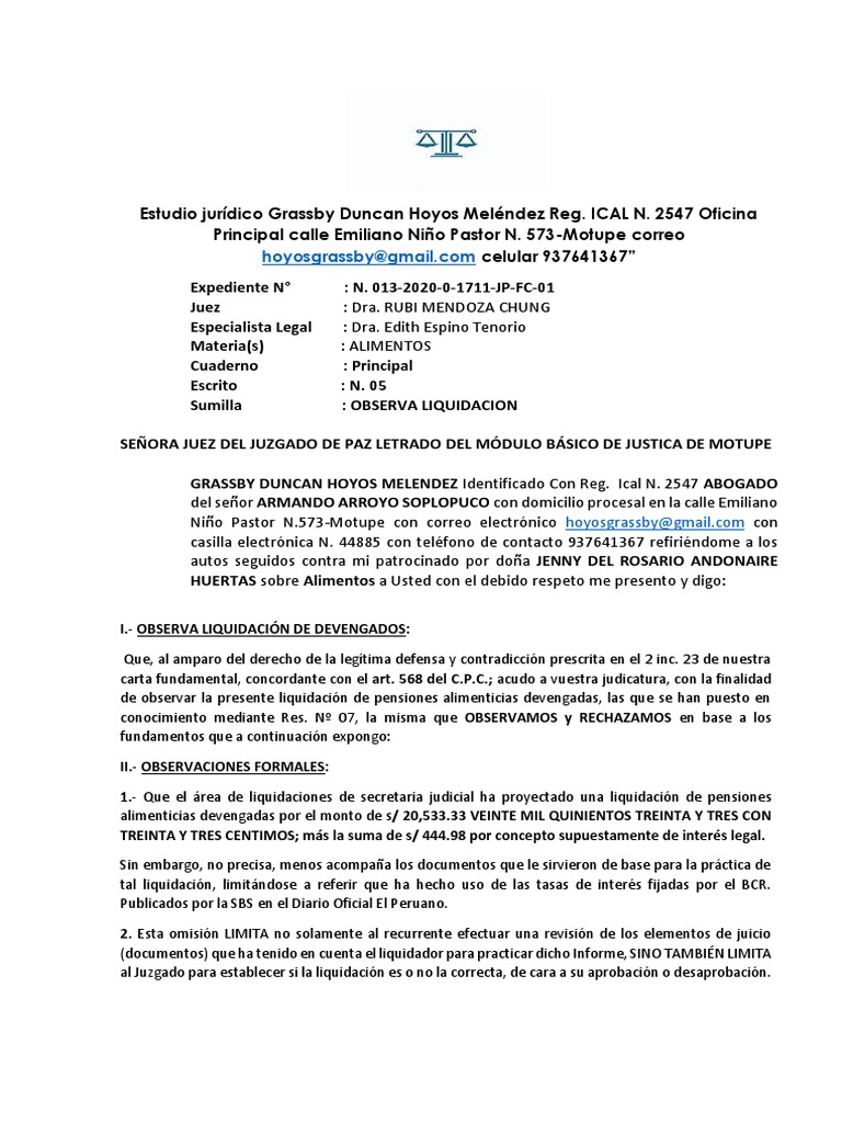 Observaciones a Liquidación de Alimentos | PDF | Justicia | Crimen y ...