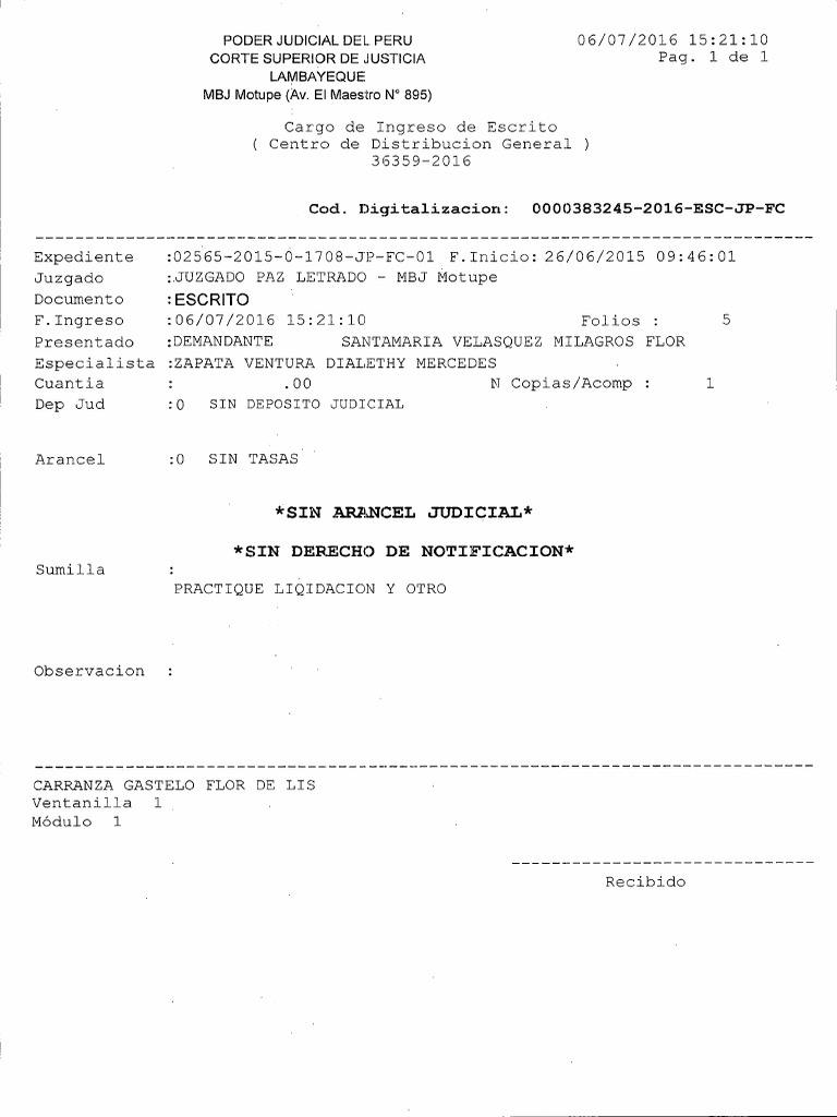 Practicar Liquidación | PDF | Ley común | Gobierno
