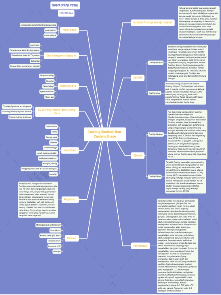 Cushing Sindrom Dan Cushing Diase (Mindmap Humairani Putri) | PDF