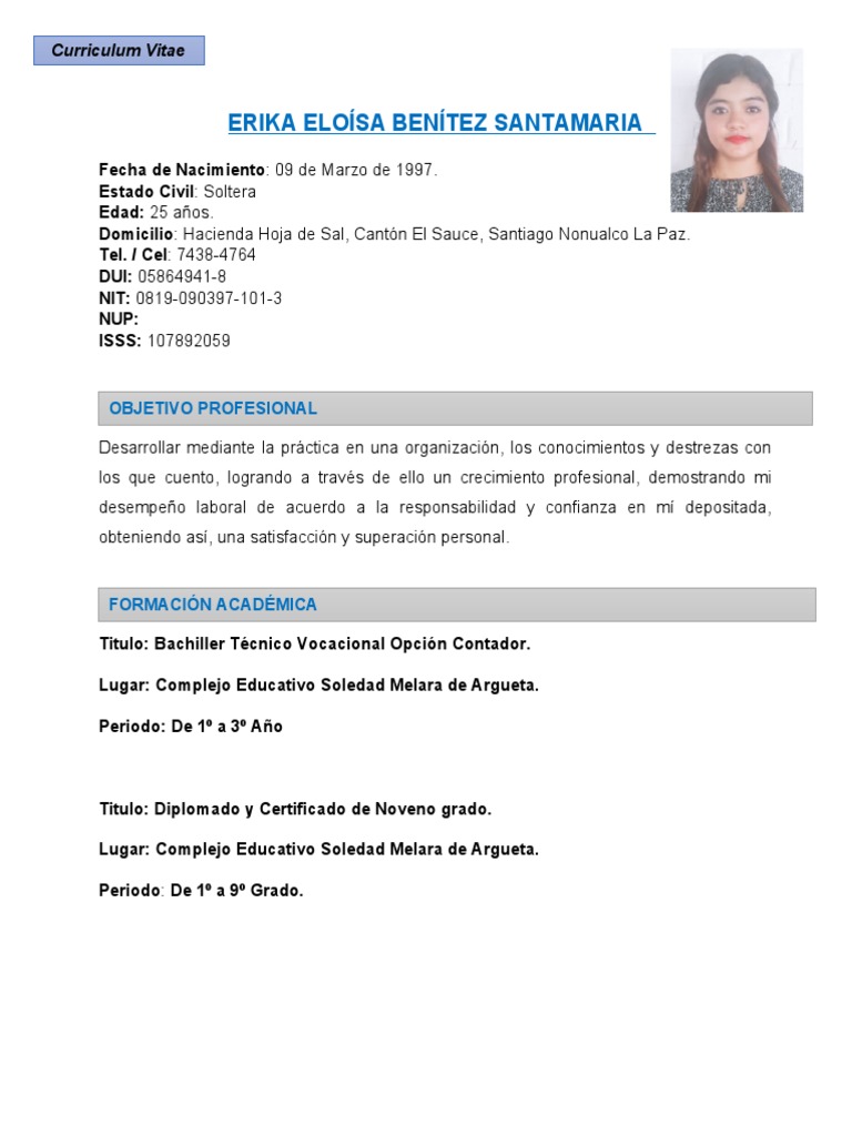 Curriculum Vitae de Erika Eloísa Benítez Santamaria | PDF | Plan de estudios