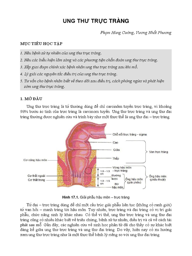 Rectal Cancer Pdf