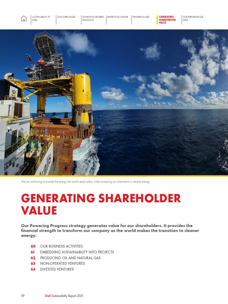 Generating Shareholder Value Shell sr21 | PDF | Natural Gas | Renewable ...