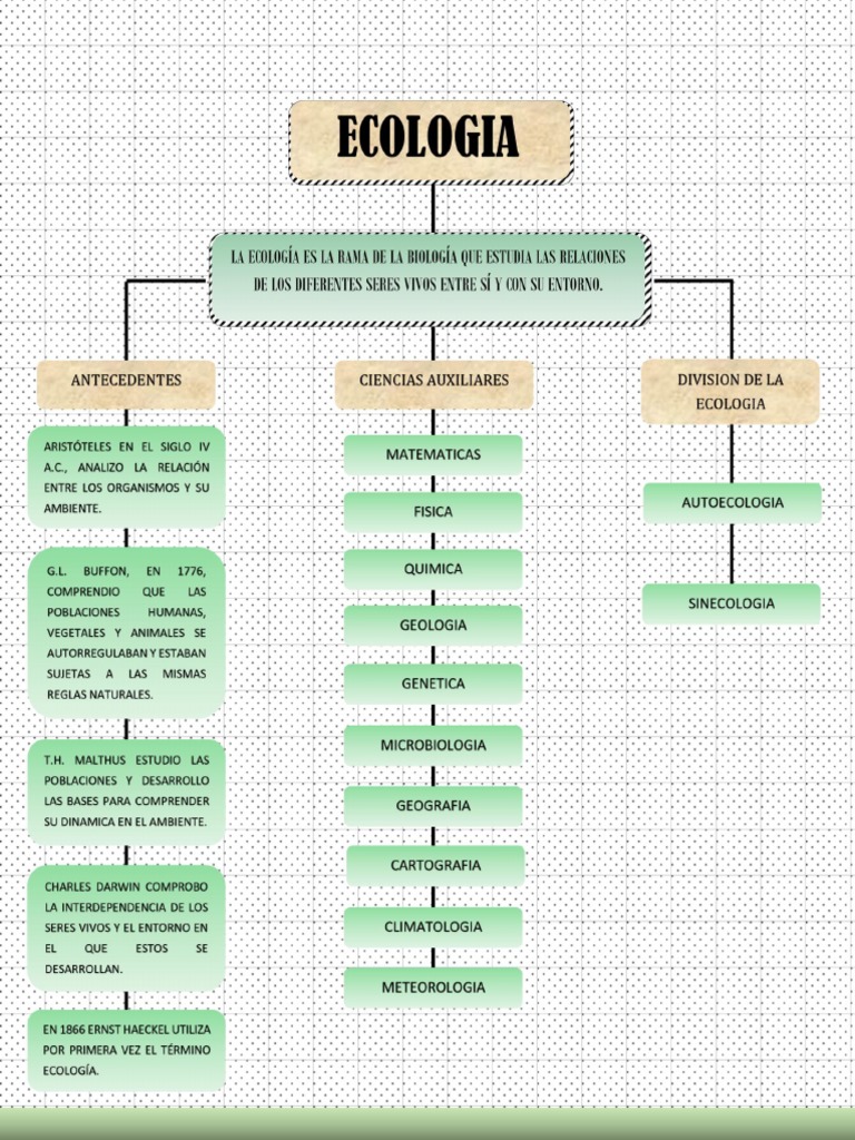 Ecologia Mapa Conceptual | PDF