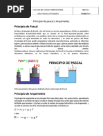 Álbum Fotográfico de Principio de Pascal y Arquímedes | PDF