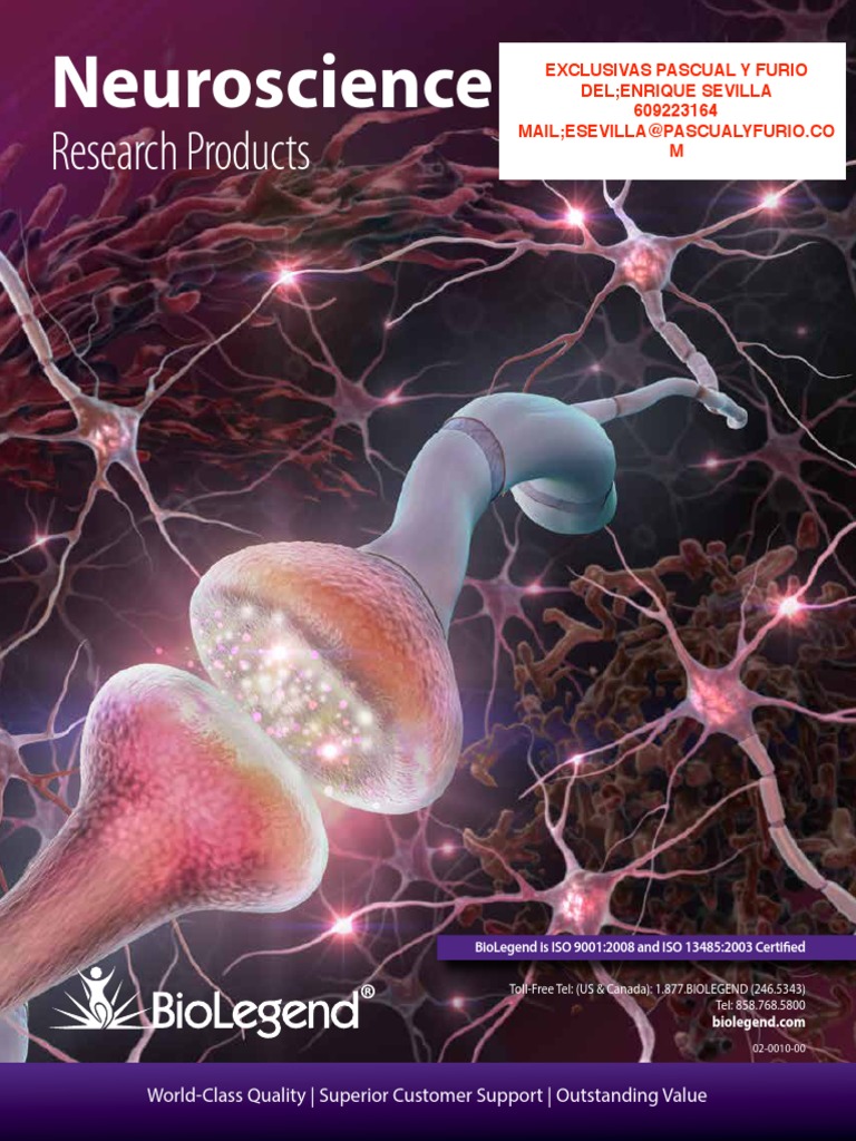 Neuroscience | PDF | Neuroscience | Biotechnology