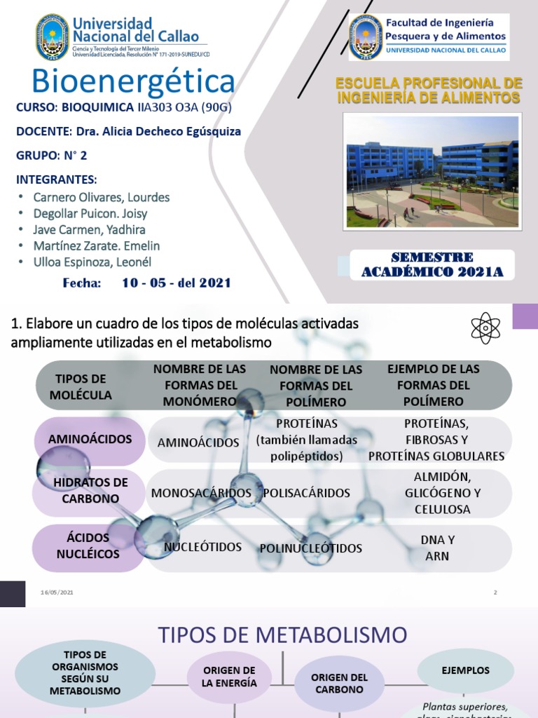 Informe de Laboratorio N°2 (Bioenergetica) - GRUPO N°2 | PDF | Trifosfato de adenosina | Lípido