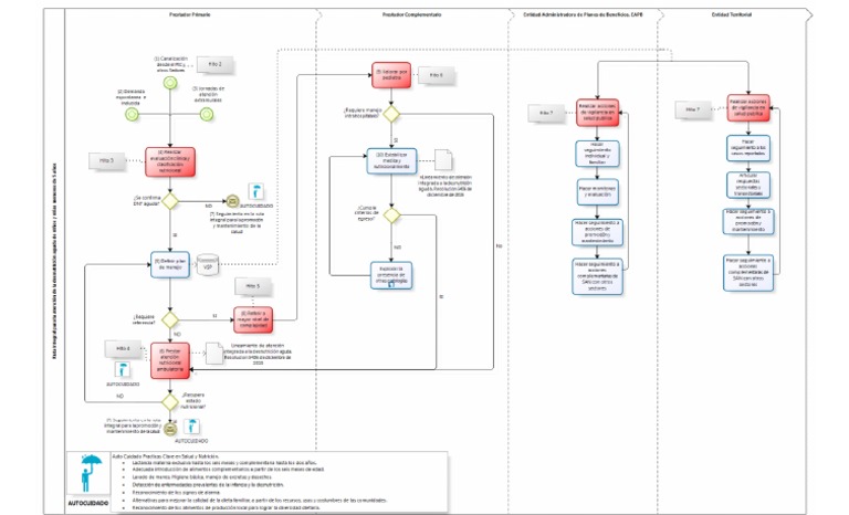 Anexo Tecnico N2 R5406 Diagrama RIA A La DNT Aguda | PDF