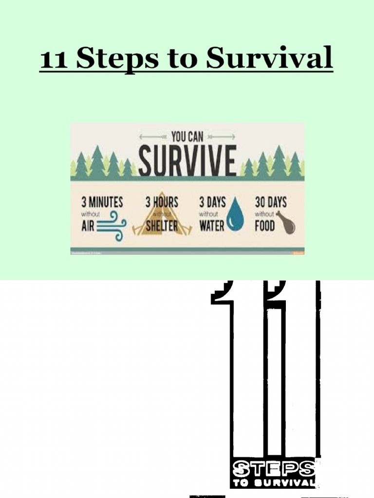 11 Steps To Survival | PDF