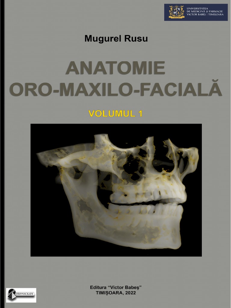 Elemente de Anatomie Oro Maxilo Faciala | PDF