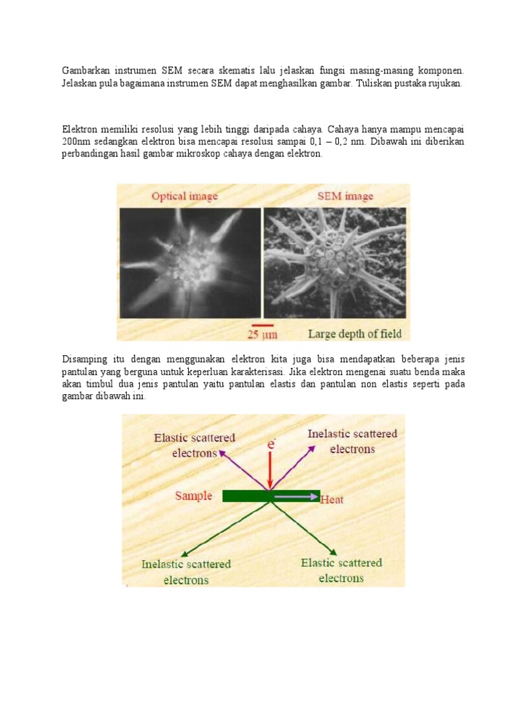 Gambarkan Instrumen SEM Secara Skematis Lalu Jelaskan Fungsi Masing | PDF