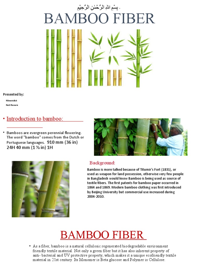Bamboo Fiber | PDF | Textiles | Fibers