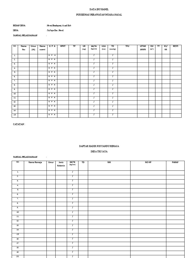 Data Ibu Hamil | PDF