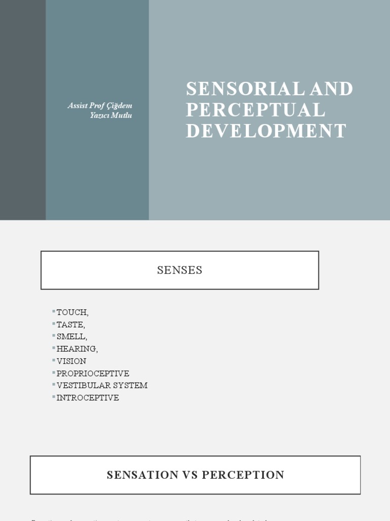 NMD-6 Sensorial and Perceptual Development | PDF | Perception | Senses