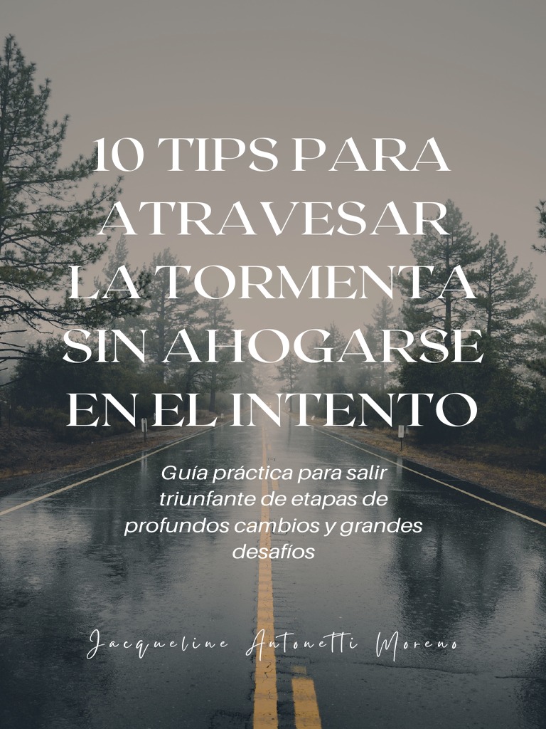 Ebook Cómo Atravesar La Tormenta Sin Morir en El Intento | Descargar ...