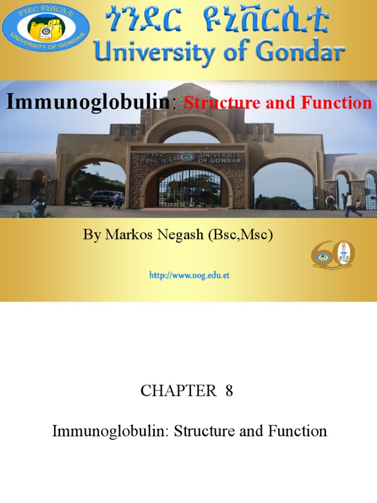 Chapter 8 Immunoglobulin Structure and Function | PDF | Antibody ...