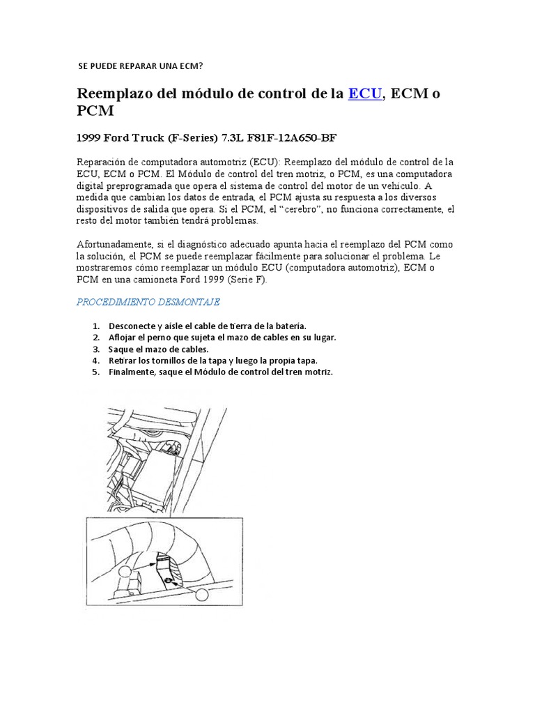 Se Puede Reparar Una Ecm | PDF | Negocios | Informática