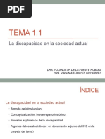 Modelo Nagi PDF | PDF | Invalidez | Bienestar
