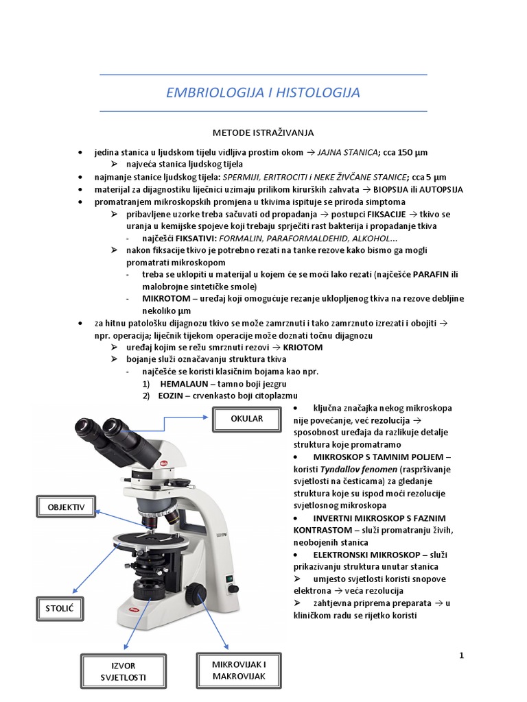 Embriologija I Histologija | PDF