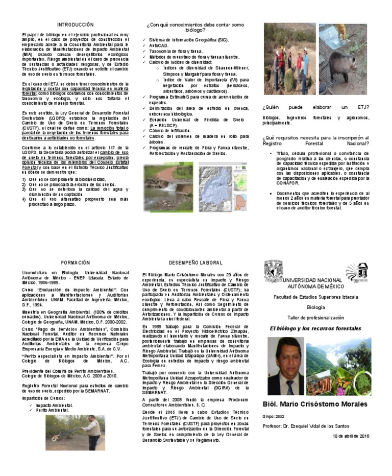 TRÍPTICO Ver 3 | PDF | Entorno natural | Los bosques