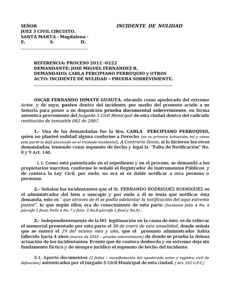 Incidente de Nulidad | PDF | Principios éticos | Gobierno