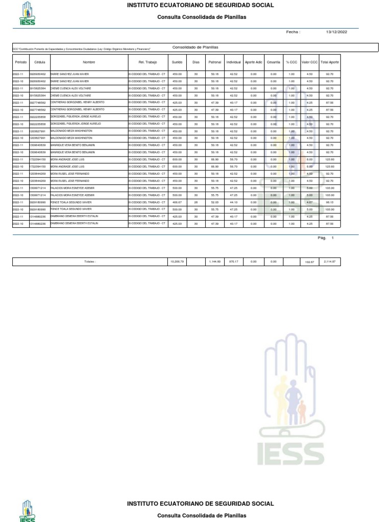 Consolidado Iess Pagado 15-11-2022 | PDF | Gobernancia | Comunidad andina