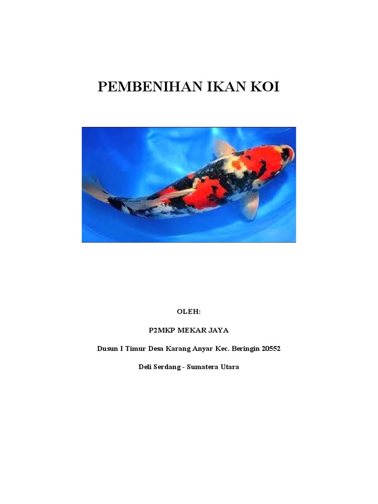 Modul Budi Daya Ikan Hias Mas Koi | PDF