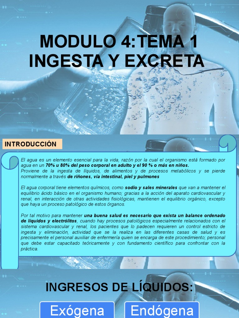 Control de Ingesta y Excreta de Líquidos | PDF | Agua | Alimentos