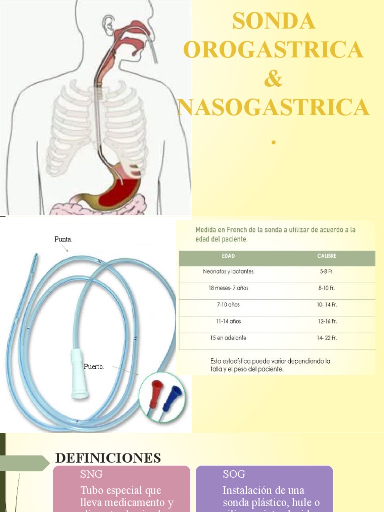 Tema 2 Sonda Orogastrica Y Nasogastrica Pdf Tracto Gastrointestinal