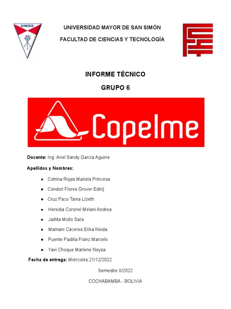 Análisis del proceso productivo de Copelme S.A.: desde la obtención de ...