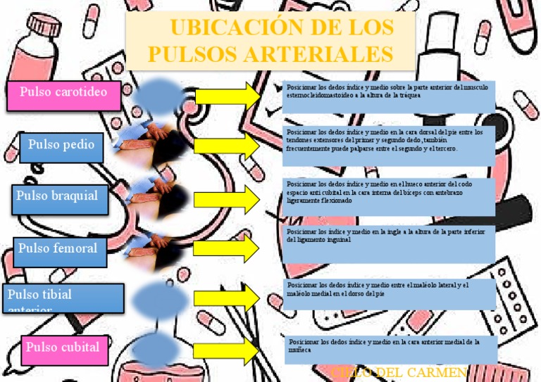 Pulsos Arteriales Localizacion | PDF
