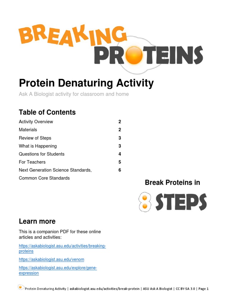 Breaking Proteins Activity PDF 3 | PDF | Denaturation (Biochemistry) | Proteins