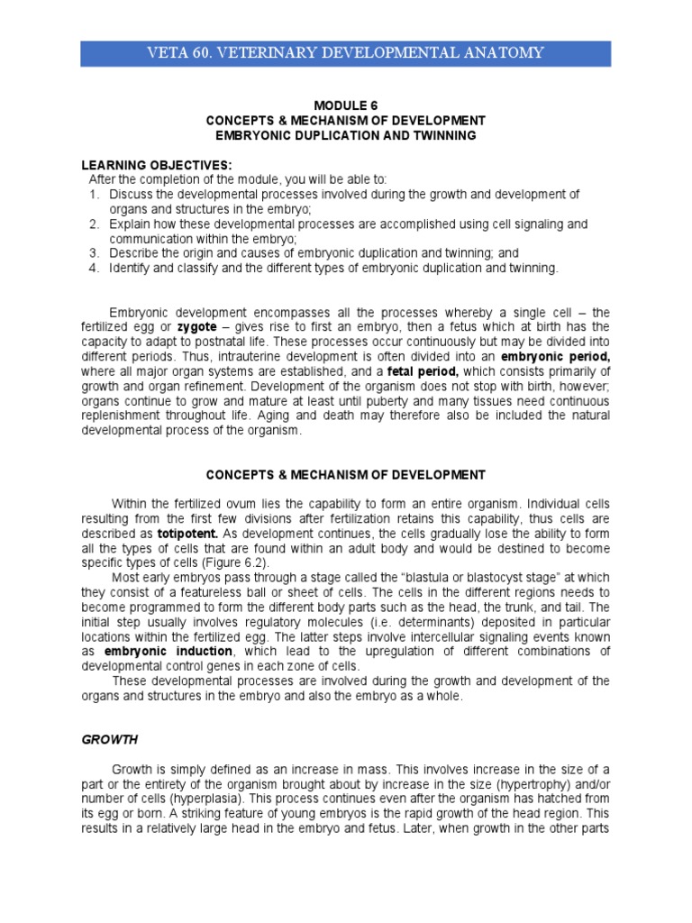 Veta 60. Module 6 | PDF | Apoptosis | Twin