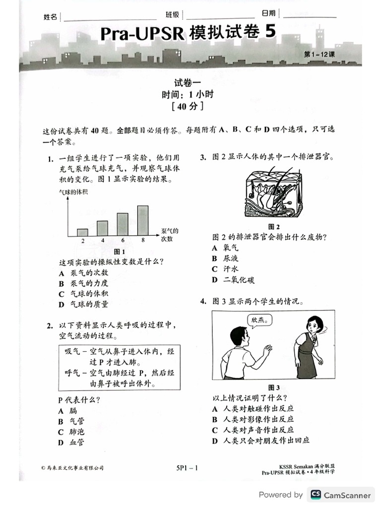 5年级 pra upsr 5 | PDF