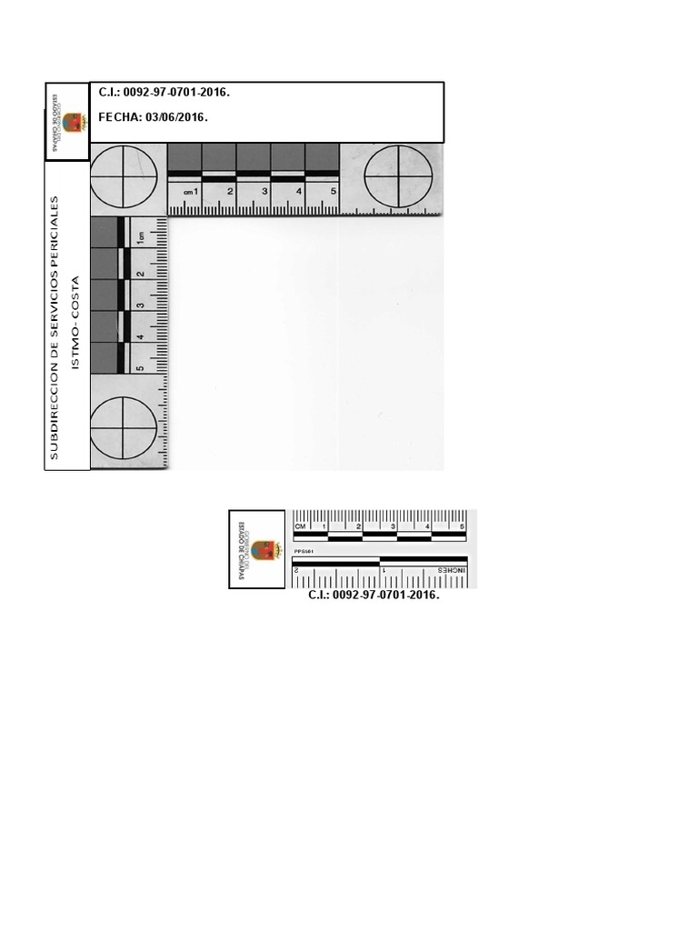 Testigos METRICOS BIEN | PDF