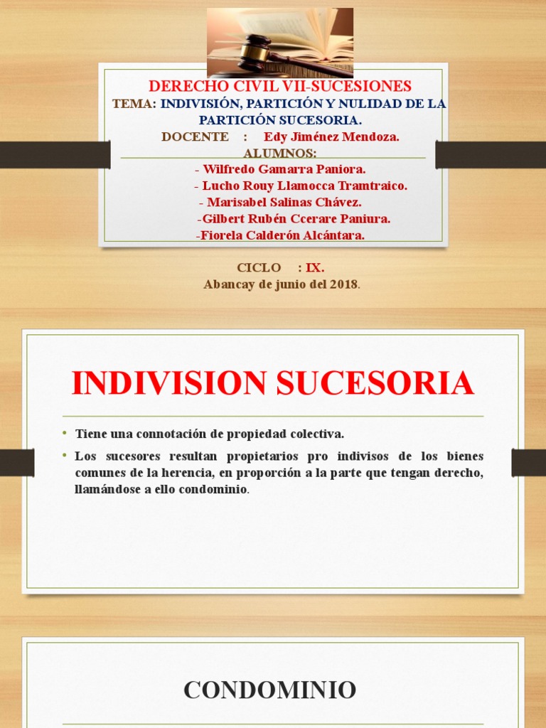 Indivisión y Partición Sucesoria | PDF | Herencia | Propiedad