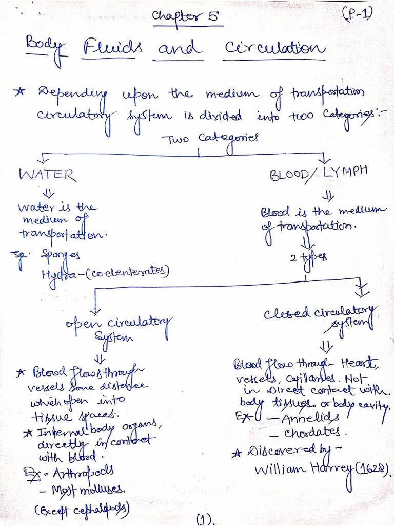 Body Fluids and Circulation | PDF