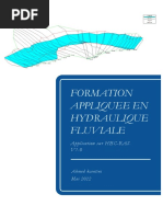 Hyfran - Plus Guide Utilisateur | PDF | Loi de probabilité | Logarithme