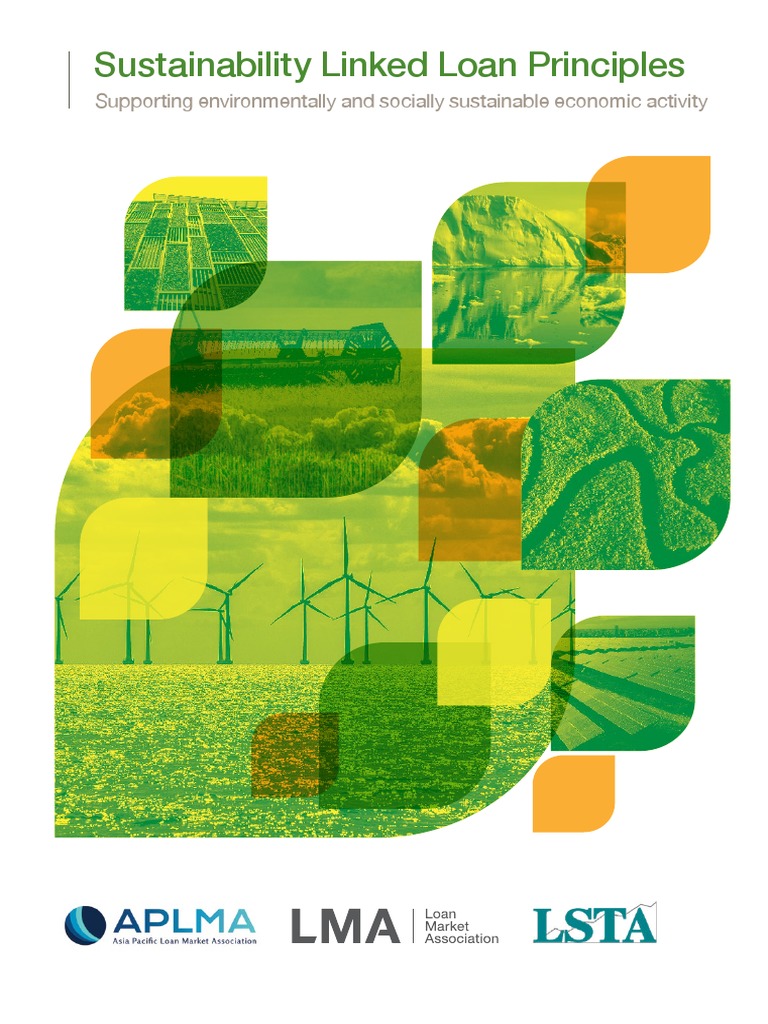 Sustainability-Linked-Loan-Principles-July-2021 | PDF | Sustainability ...