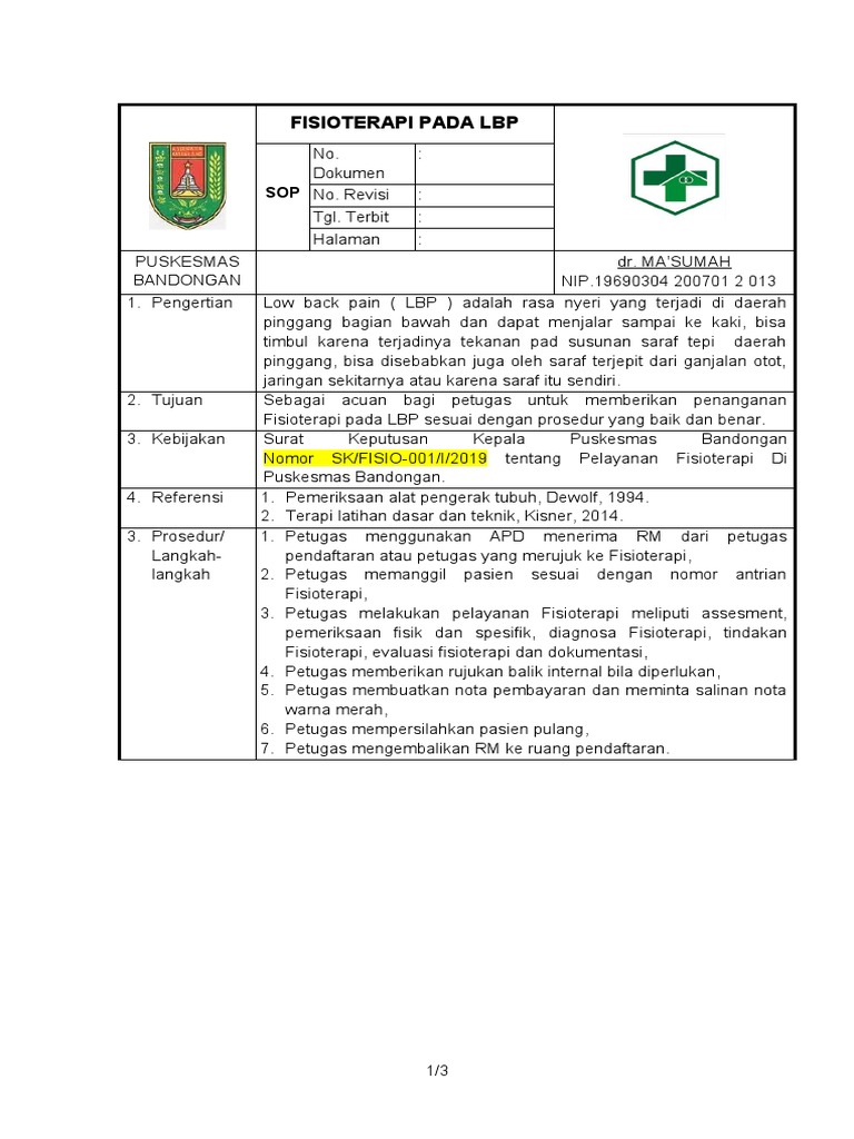 Fisioterapi Pada LBP | PDF