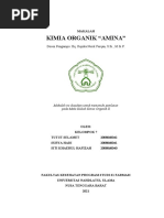 Struktur Dan Sifat Amina | PDF